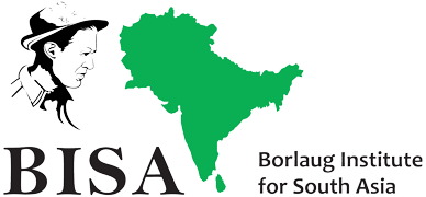 BISA | Borlaug Institute for South Asia