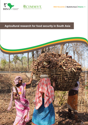 BISA | Borlaug Institute for South Asia